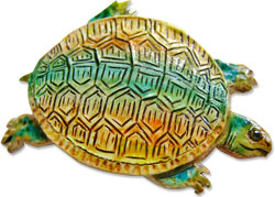 Turtle weekend – Polymer Clay Daily