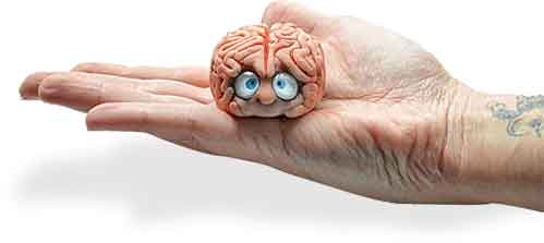 Your brain on polymer – Polymer Clay Daily